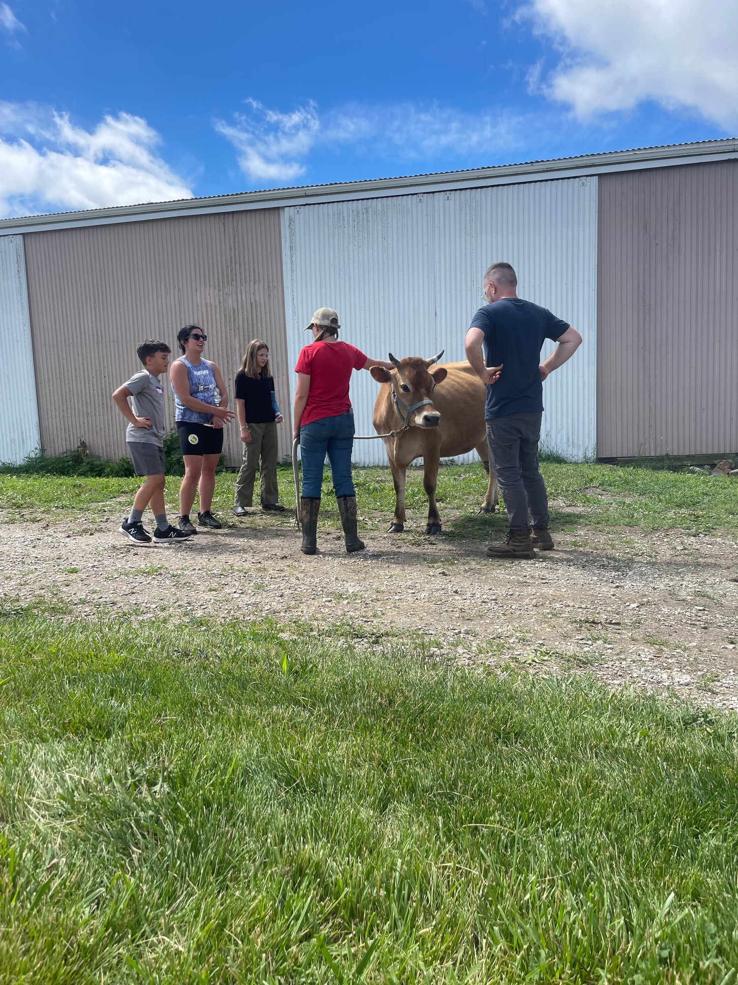 Collections – 1984 Farms