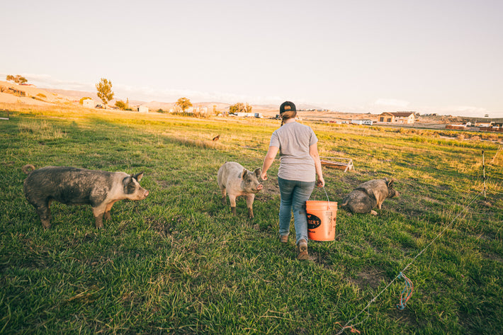 Pasture-Finished Meats – 1984 Farms